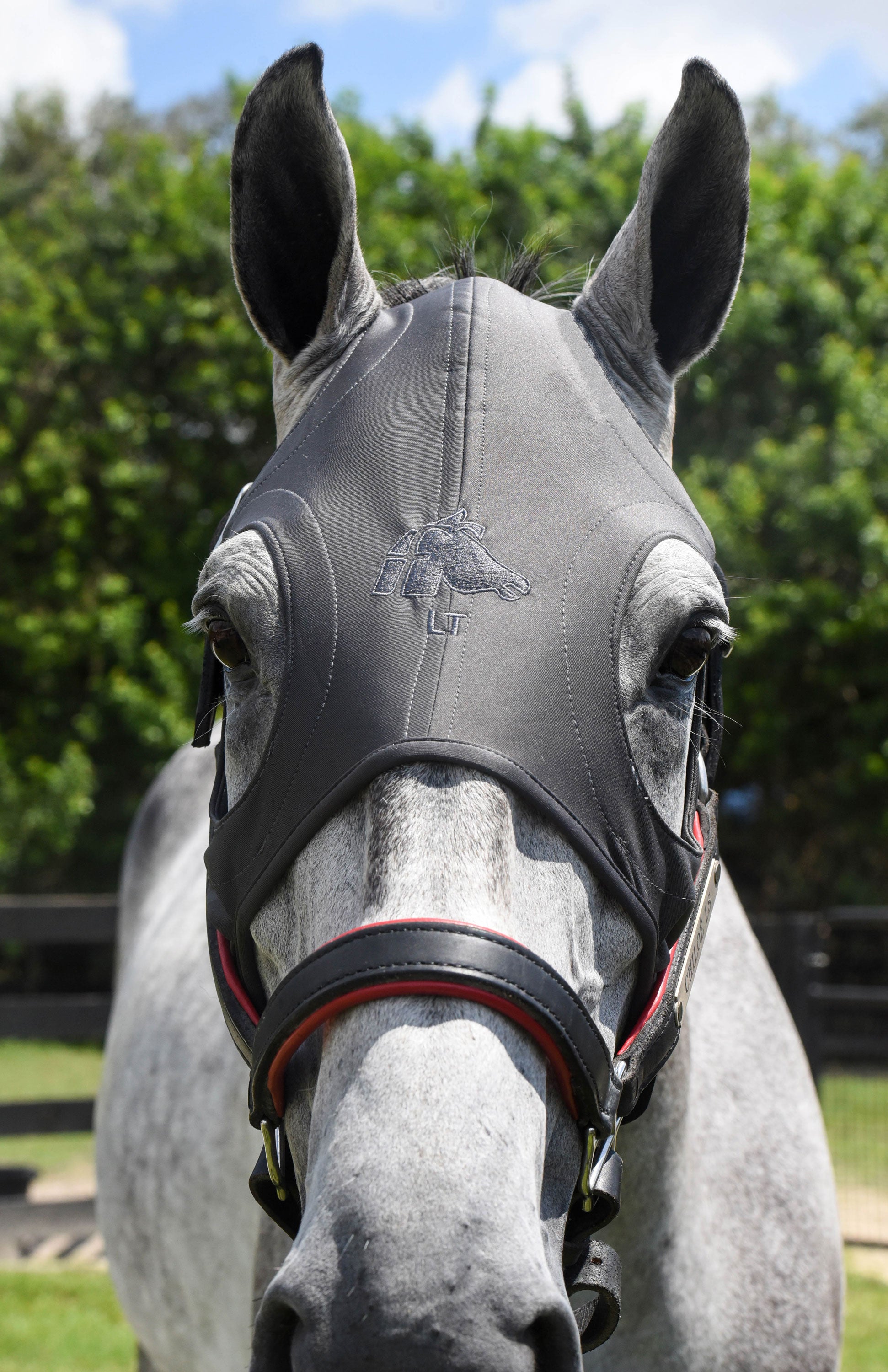 Fenwick's Original LT® Mask – Fenwick Equestrian