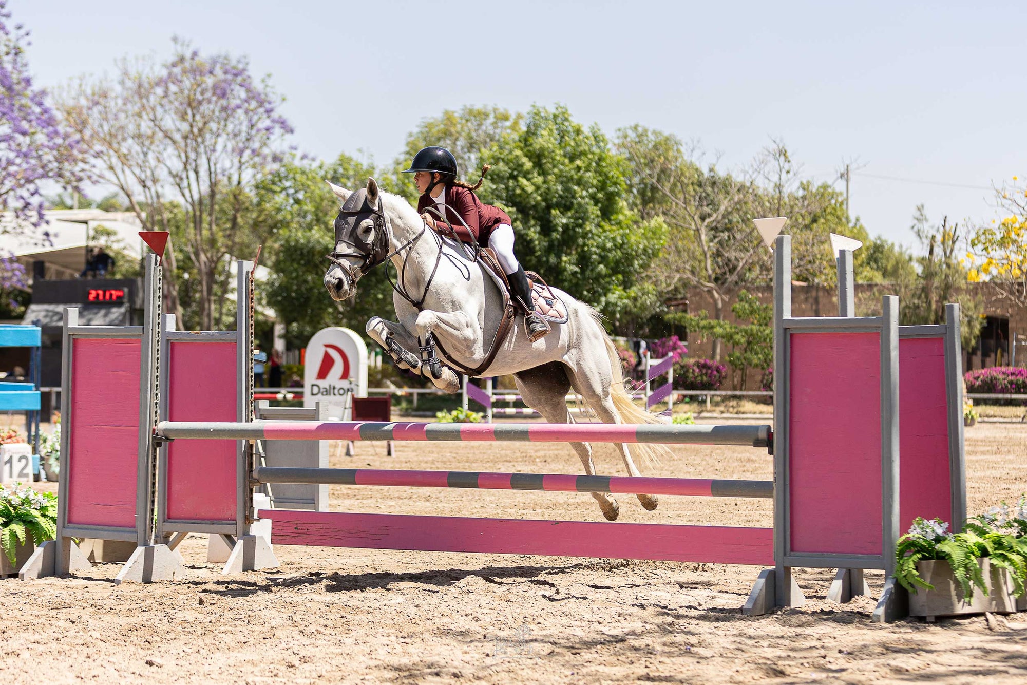 Fenwick Equestrian | Home of the LT Mask