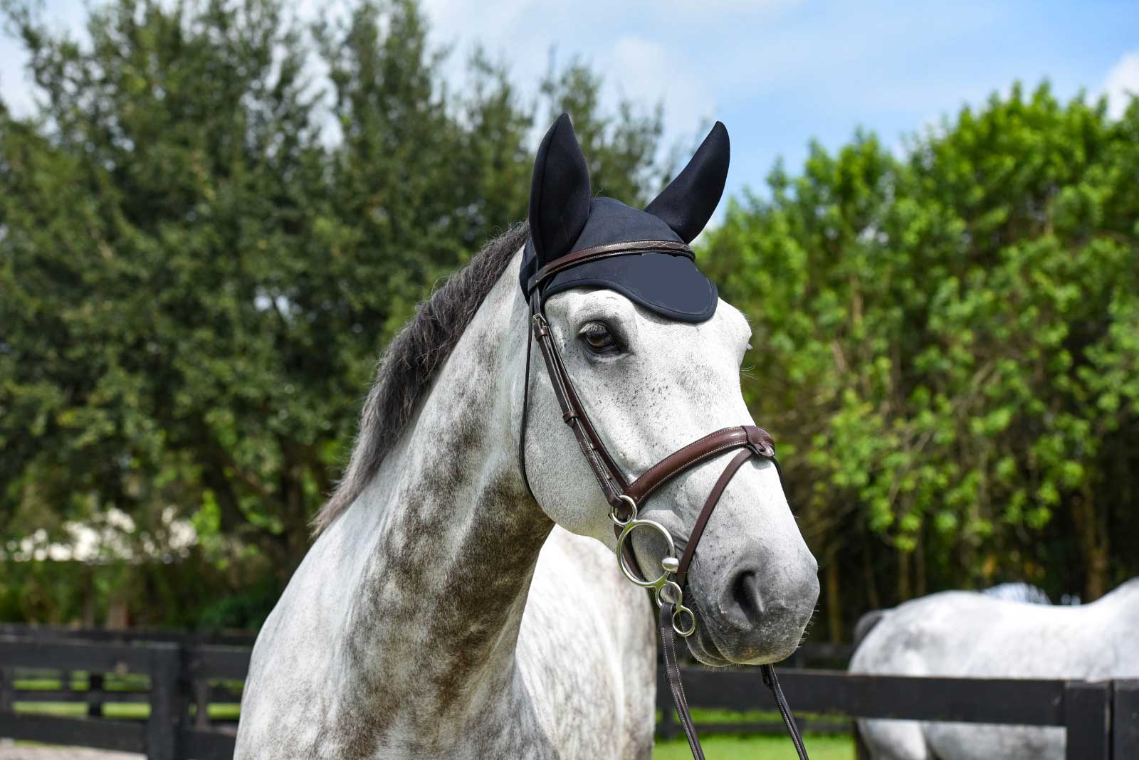 LT® Horse Ear Bonnet With Sound Reducing Ears – Fenwick Equestrian