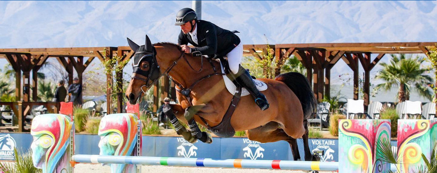 Fenwick Equestrian | Home of the LT Mask