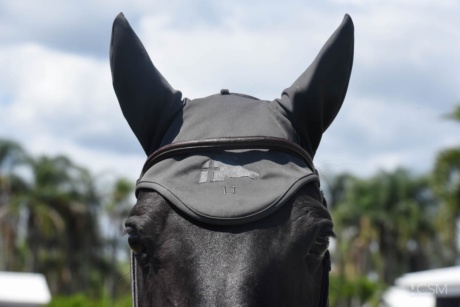 LT® Therapeutic Ear Bonnet – Fenwick Equestrian