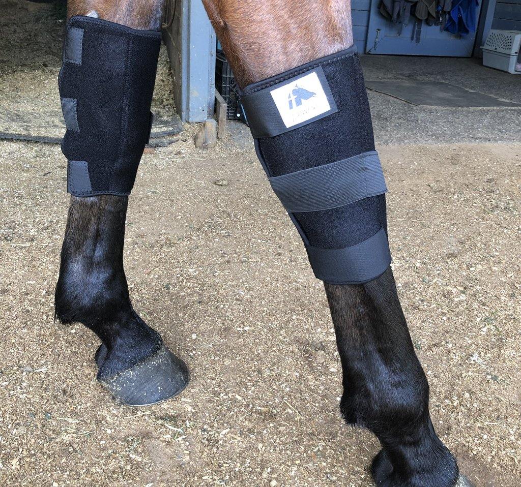 LT Horse Knee Boots – Fenwick Equestrian