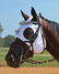 Fenwick's Original LT® Mask – Fenwick Equestrian