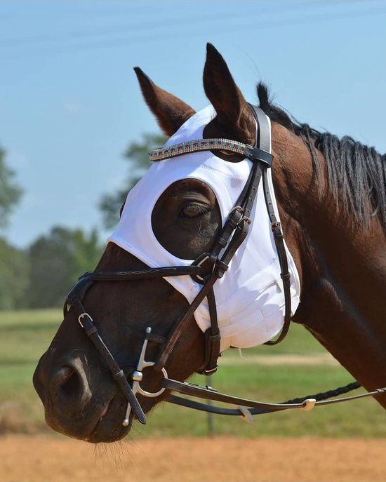 Fenwick's Original LT® Mask – Fenwick Equestrian