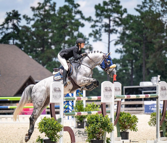 Fenwick's Original LT® Mask – Fenwick Equestrian