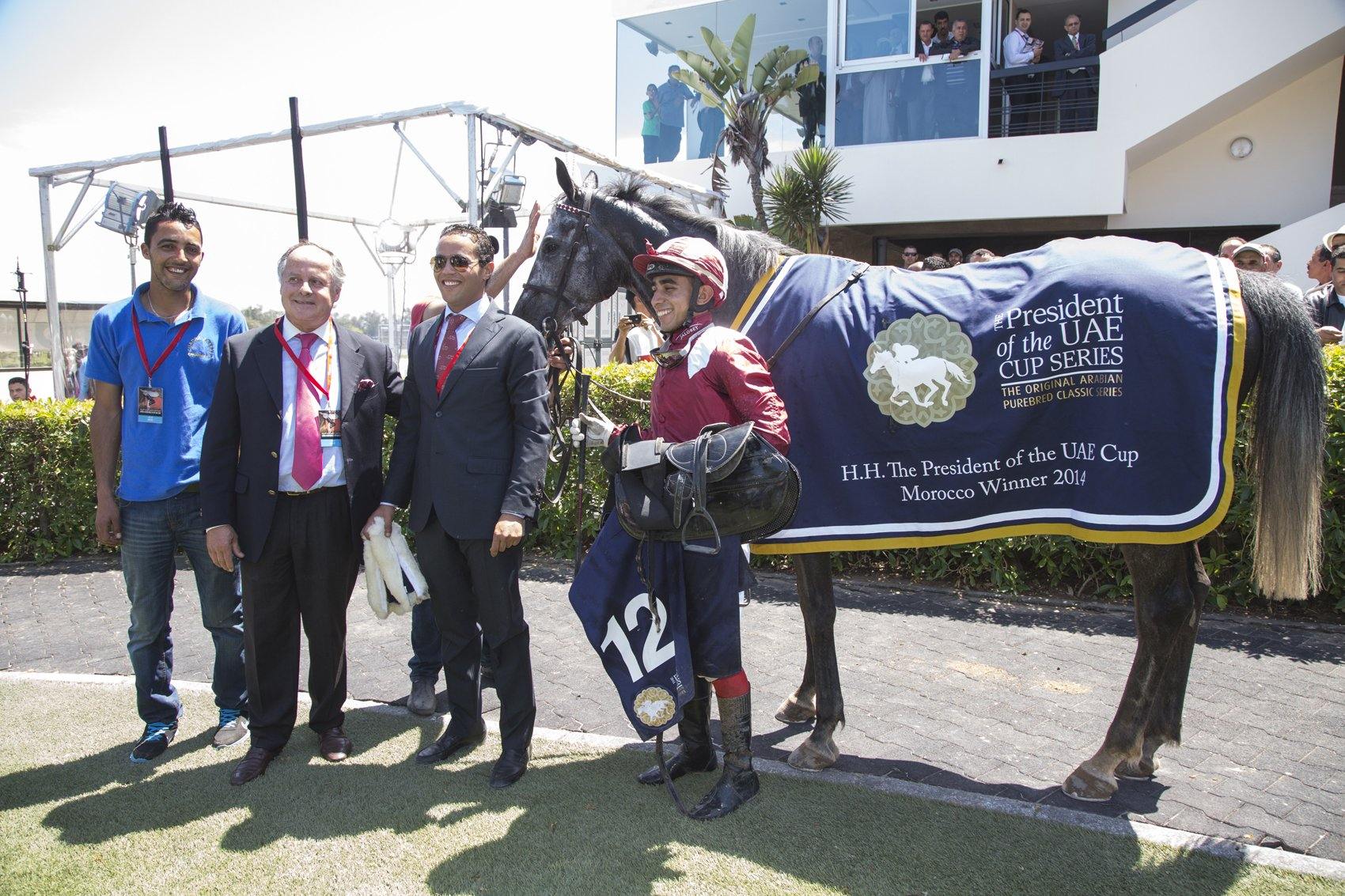 Custom LT® Cooler - Your Design! – Fenwick Equestrian